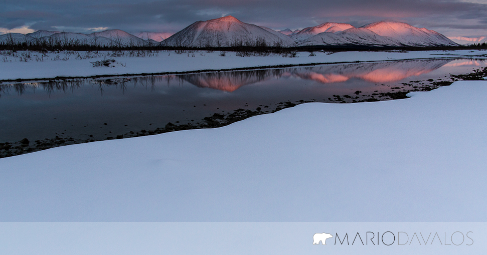 Mario Davalos — photography